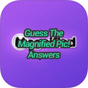 Guess the Magnified Pic Answers • 2020 • Game Solver