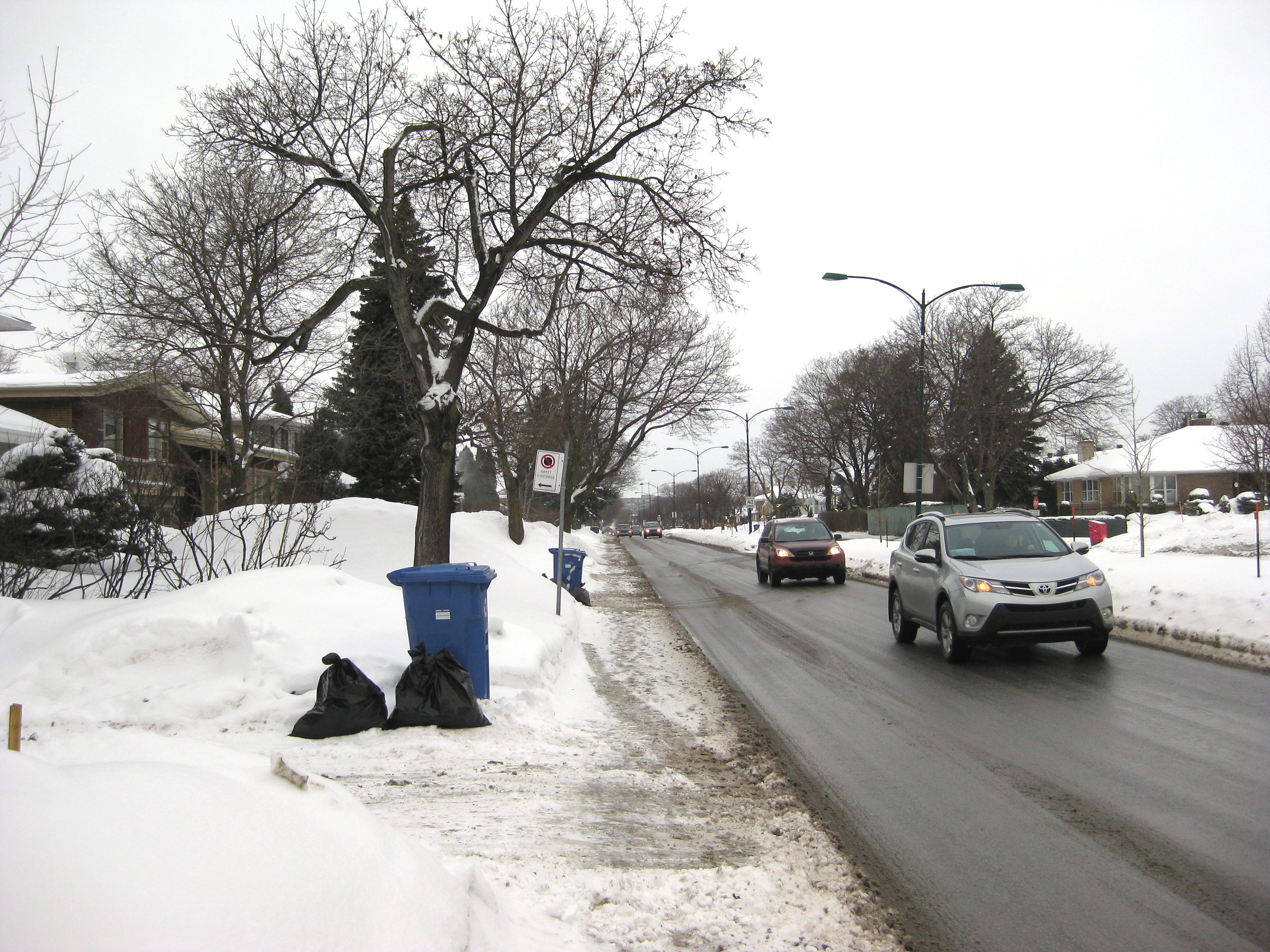 Crown Life – Things I find in the garbage