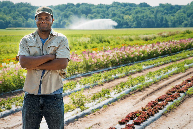 Vegetable Crops: 10 Prime Crops To Sow In Spring