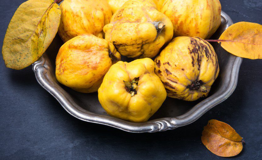 Quinces: How To Grow And 9 Key Steps To Success