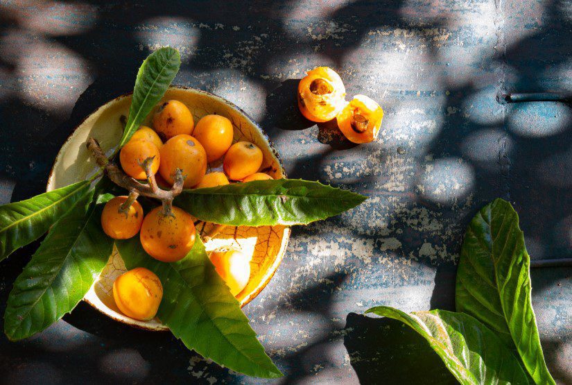 Loquat Tree - 2 Simple Growing And Harvesting Tips