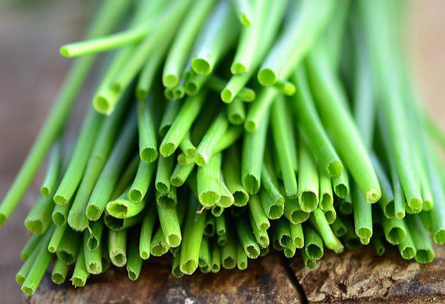 Chives: How To Grow Plus 2 Great Recipes