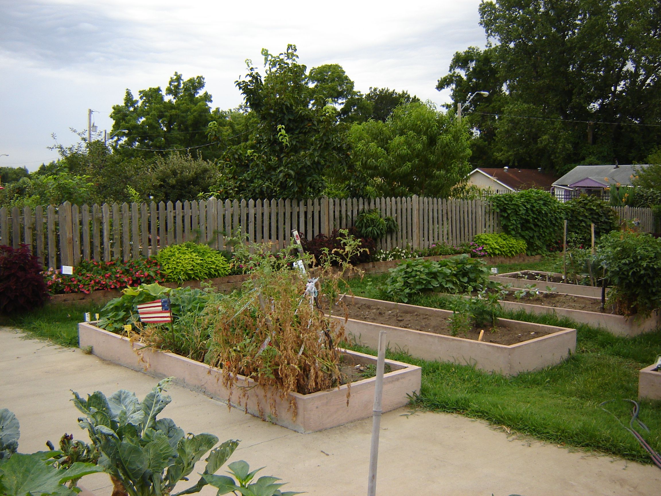 Garden Site Selection – The Garden Professors™