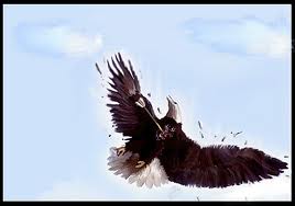 The Eagle's Saga | The Magical World of G. Michael Vasey