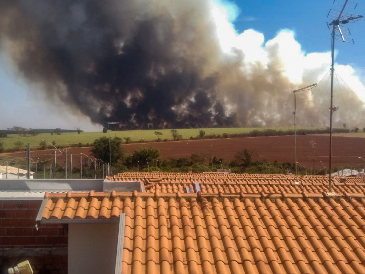 Incêndio em canavial assusta moradores | Gazeta de Bebedouro