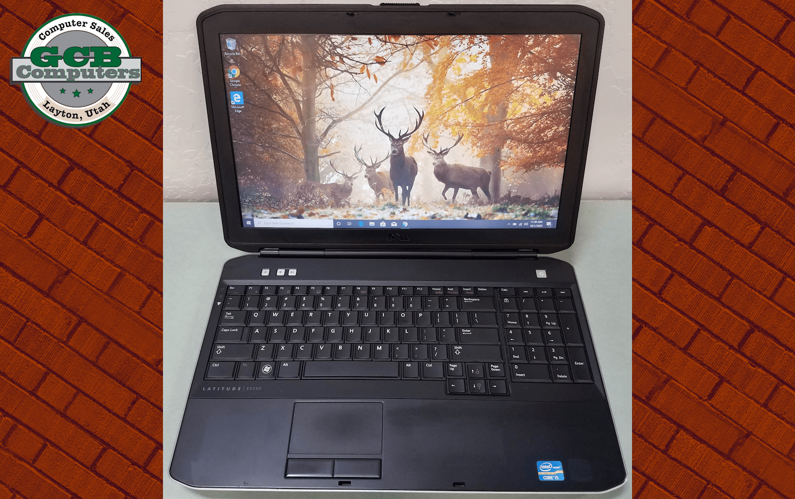 deer – GCB Computers