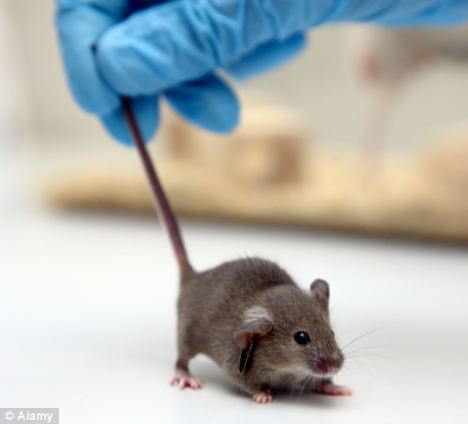 The Mountain Dew Defense: We'd MELT a Mouse! | GearDiary