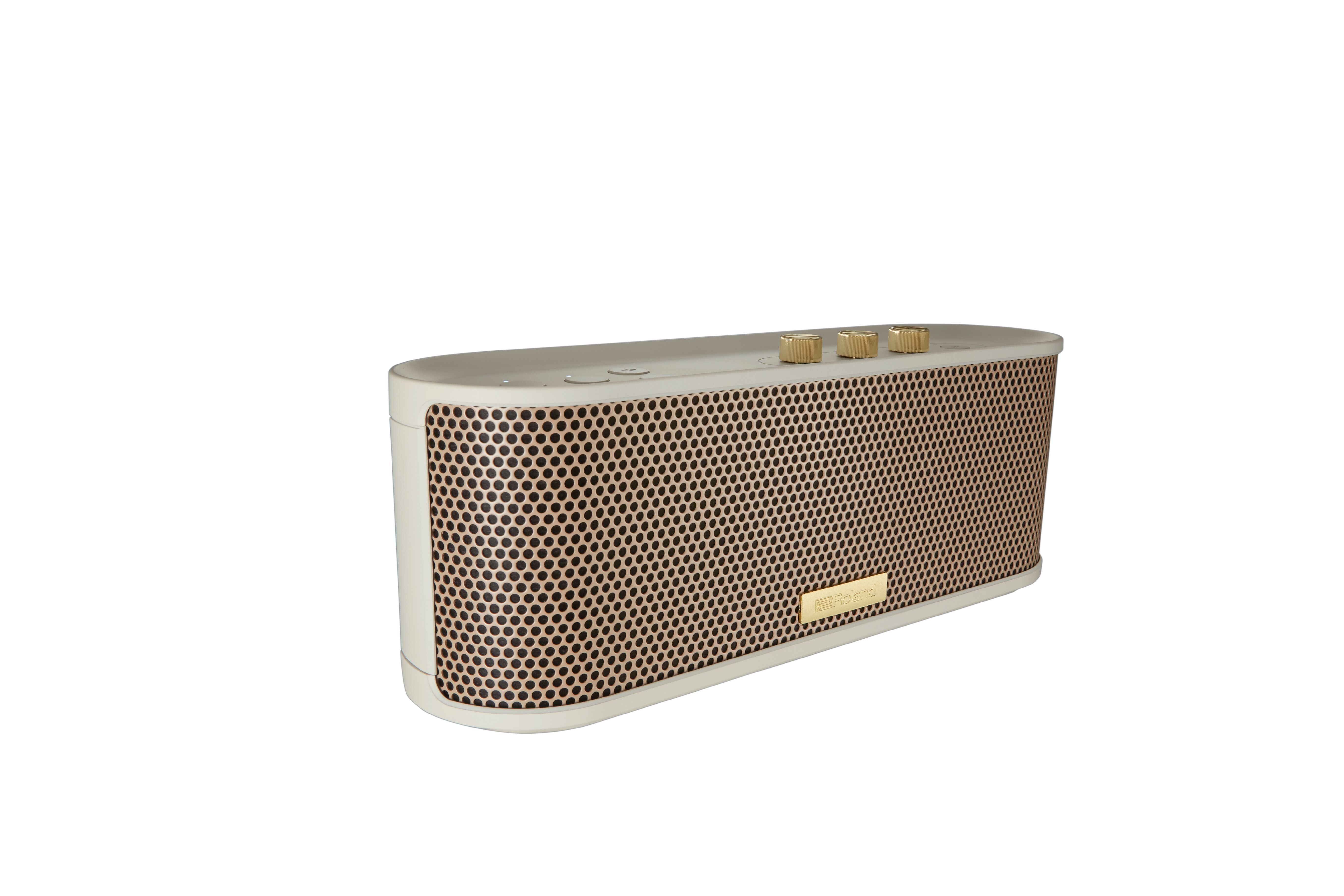 Roland's New Bluetooth Speaker Lets You Jam Alongside Your Tunes ...