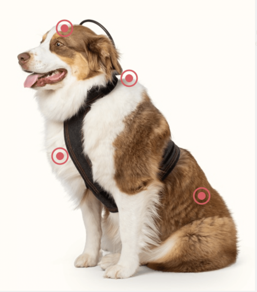 Calmer Canine Soothes Your Anxious Dog in Sci-Fi Style | GearDiary