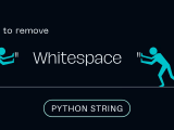 Python Tips