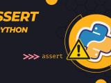 Understanding Assert For Debugging In Python