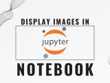 How To Display Local And Web Images In Jupyter Notebook