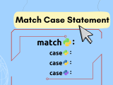 How To Use Match Case Statement For Pattern Matching In Python