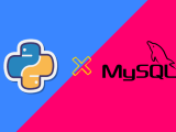 Upload And Display Images On The Frontend Using Python Flask