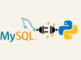 Create And Interact With Mysql Database In Python