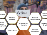 Custom Python Development Services Hire Python Developers