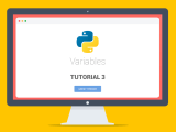 Variables En Python
