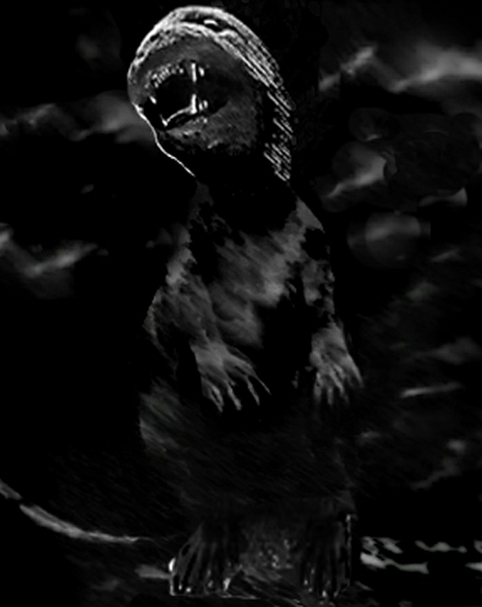 The Myths And Legends Of Ireland’s Hound Of Deep, The Dobhar Chu ...