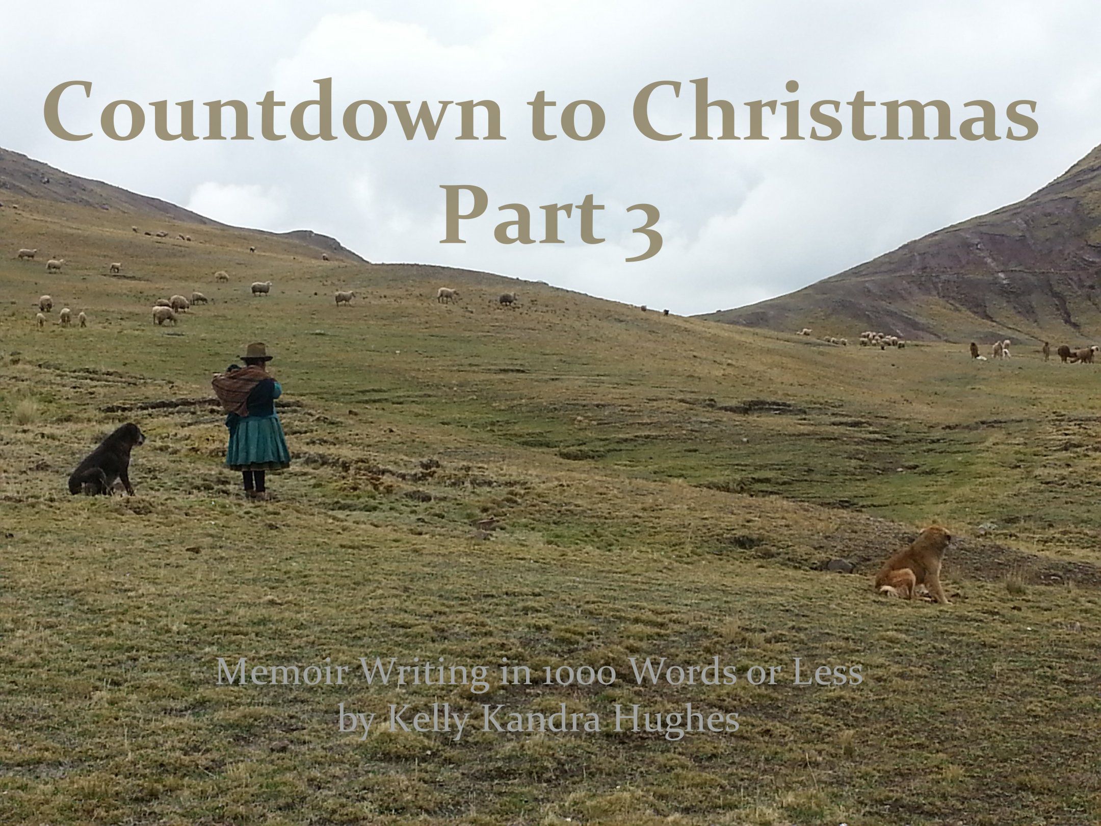 Memoir Monday, December 19th, 2016 - Kelly Kandra Hughes, PhD