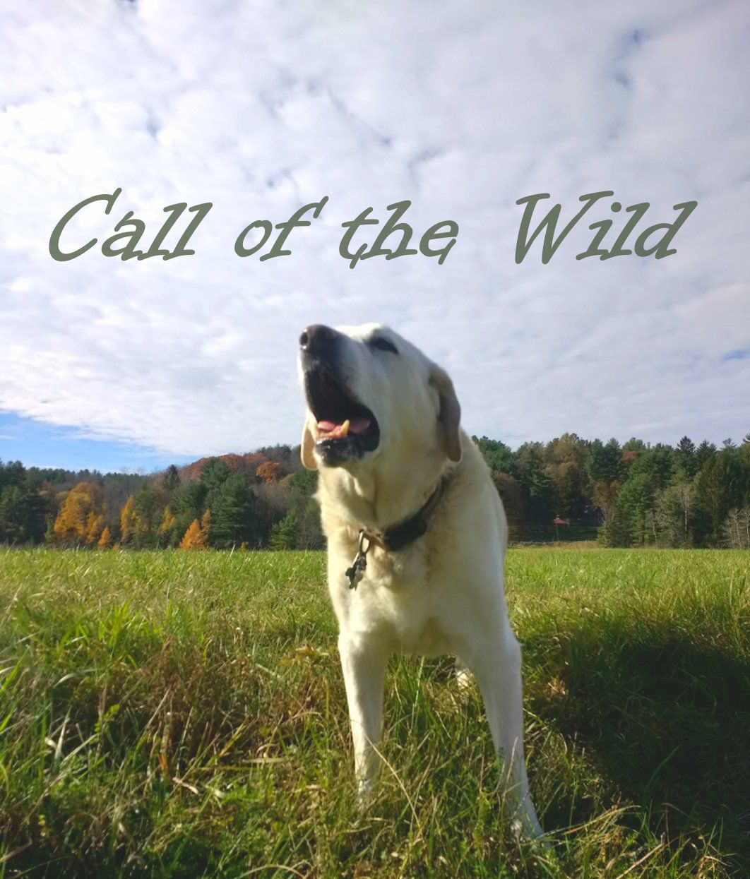 Getting My Nature Fix - Kelly Kandra Hughes, PhD