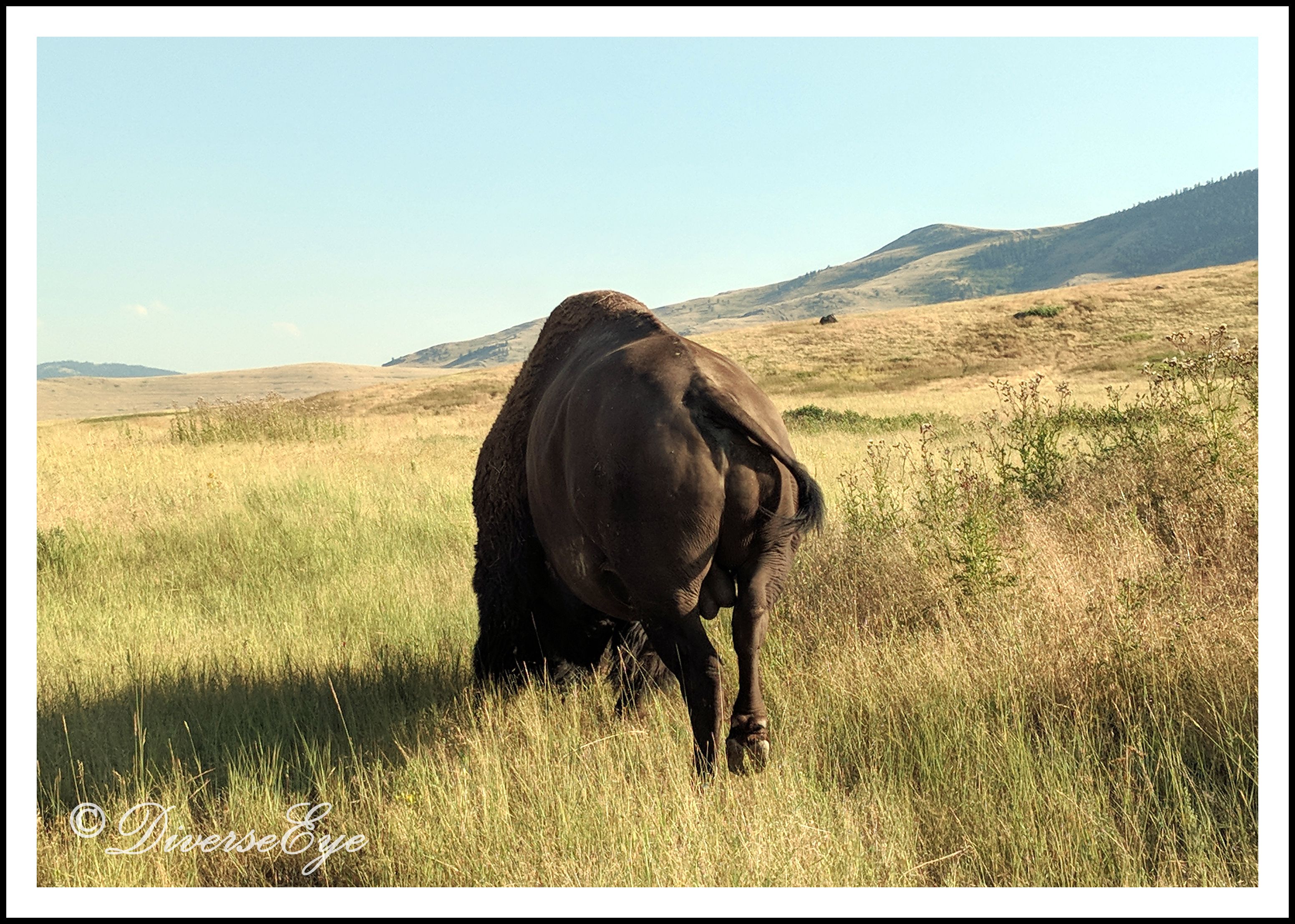 When You Assume .... - Kelly Kandra Hughes, PhD