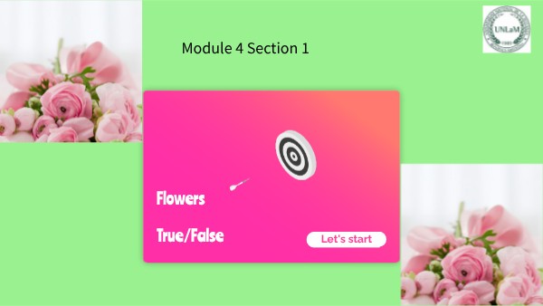 Module 4 Section 1 Genially