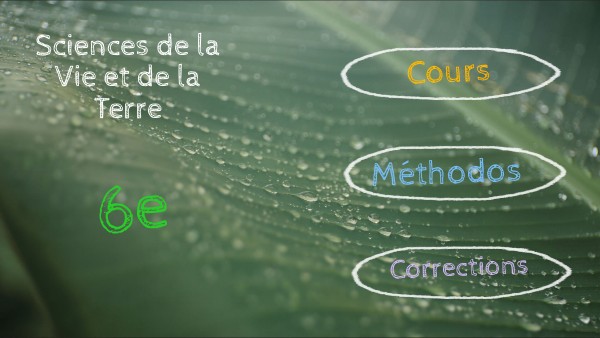 Ensemble Des Cours Svt 6e Genially