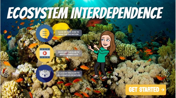 Ecosystem Interdependence