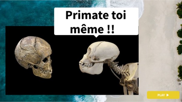 La Place De L Homme Dans L évolution 4ème Genially
