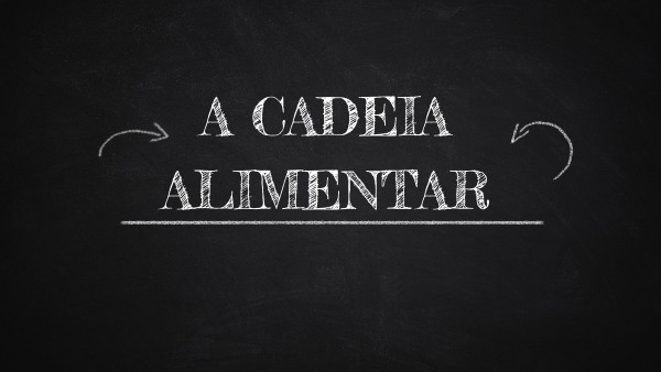 Cadeia Alimentar