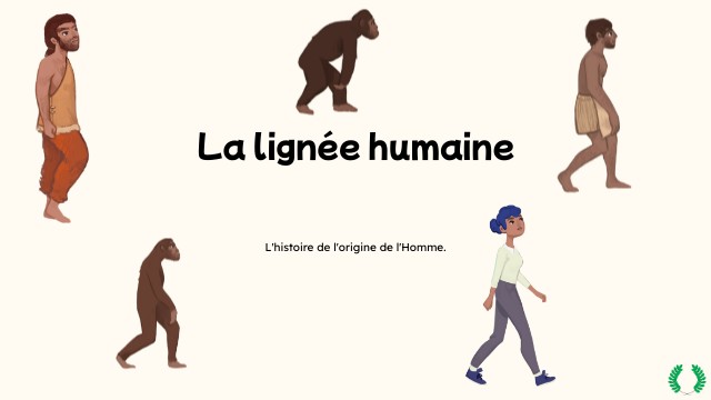 Lignée Humaine Conan Genially