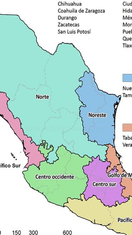 Essential Presentation Mobile Genially