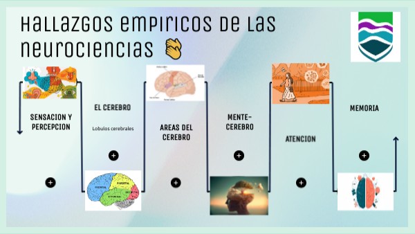 Estudio Neurobiologico De La Conciencia