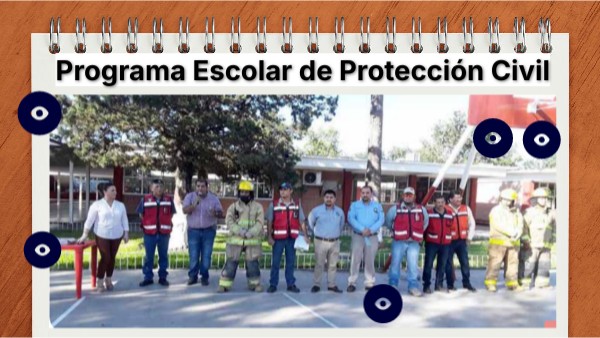 13 Programa Escolar De Protección Civil