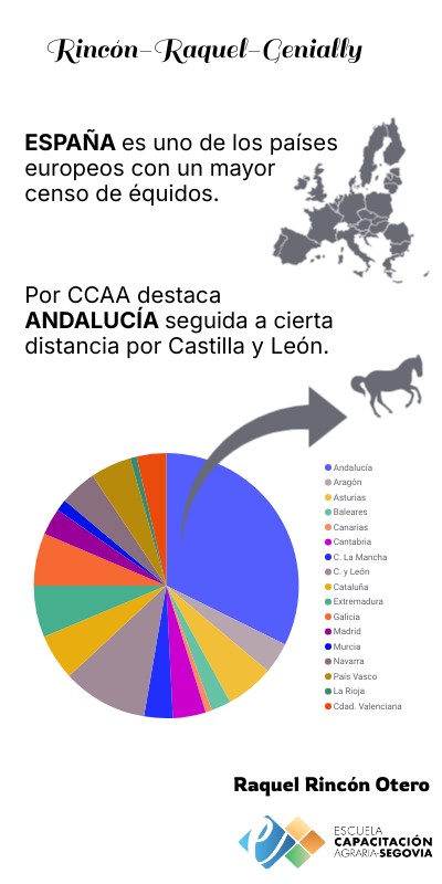 Rincón Raquel Genially