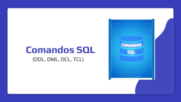Módulo Training Code