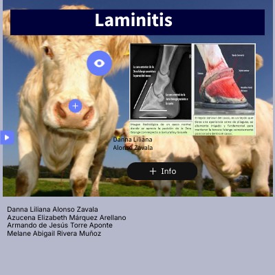 Laminitis