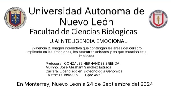 5 áreas Del Cerebro Implicadas En Las Emociones Genially