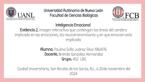 Areas Del Cerebro Implicadas Con Las Emociones