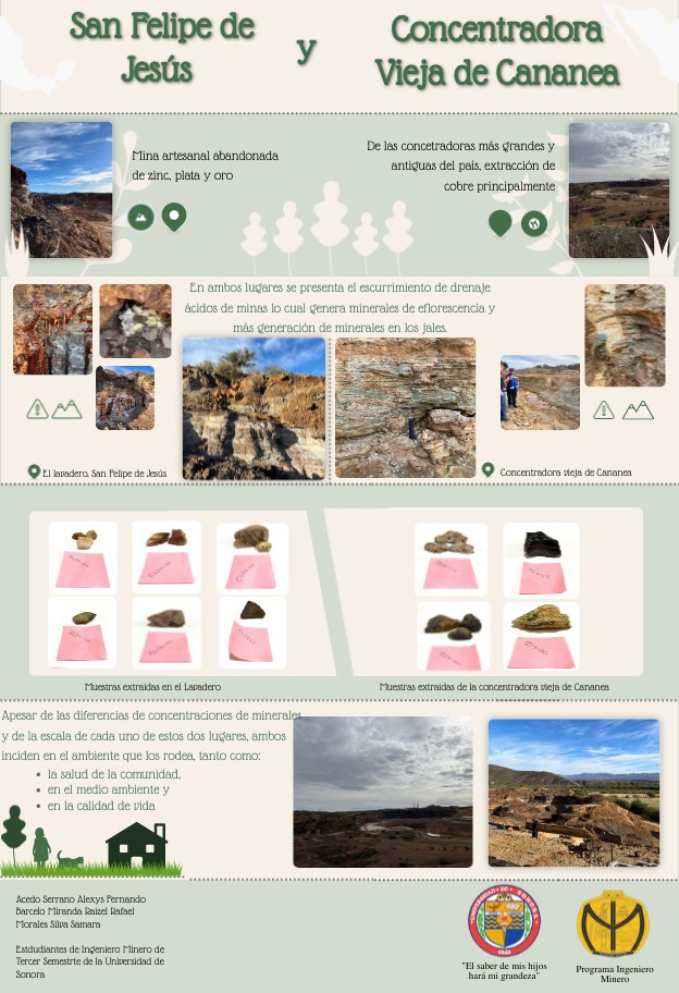 Infografía Genially