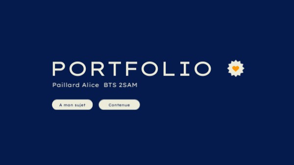 Portfolio Design Guide