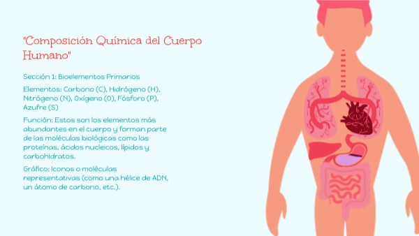 Presentación Cuerpo Humano Genially