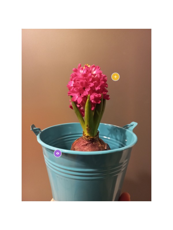 Interactive Image Genially