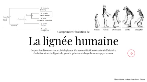 La Lignée Humaine Genially