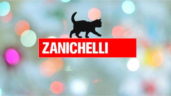 Write An Awesome Title Genially