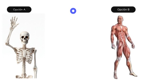 El Cuerpo Humano Genially