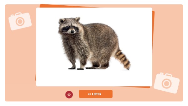 3º Unit 2 Vocabulary 1 Genially