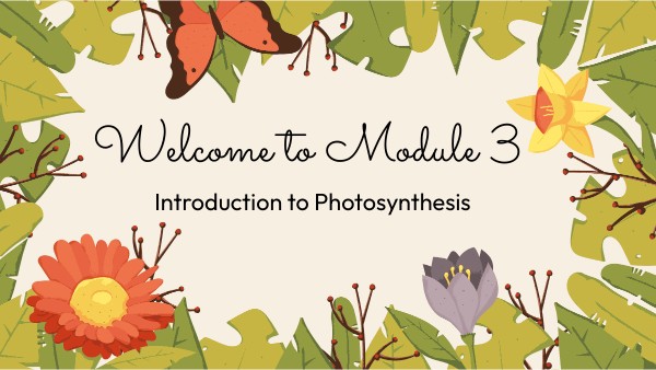 Module 3 Introduction Genially