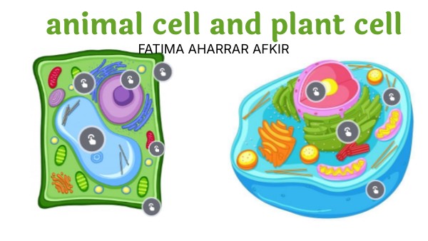 Animal Cell And Plant Cell Genially