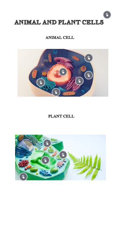 Animal And Plant Cells Paula 1c Genially